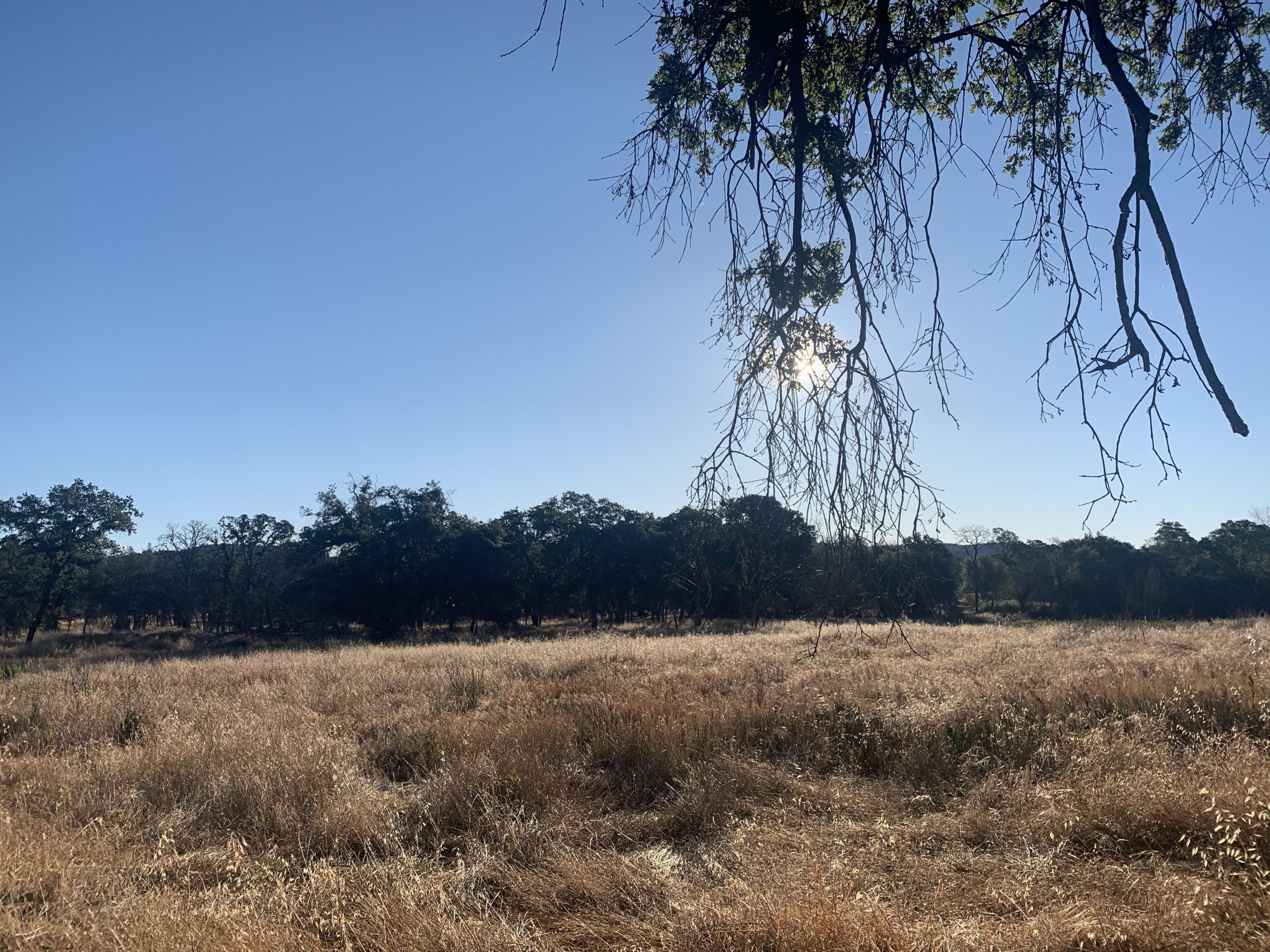 Depending on the angle – Ali Lovejoy